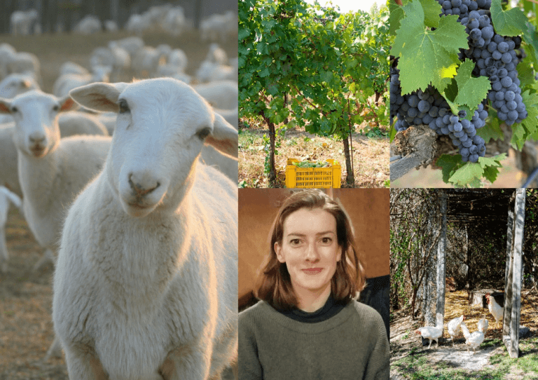 WWOOF-en: werken op een Italiaanse biologische boerderij